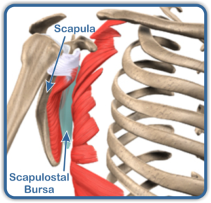 Upper Back Pain – Coon Rapids Chiropractic